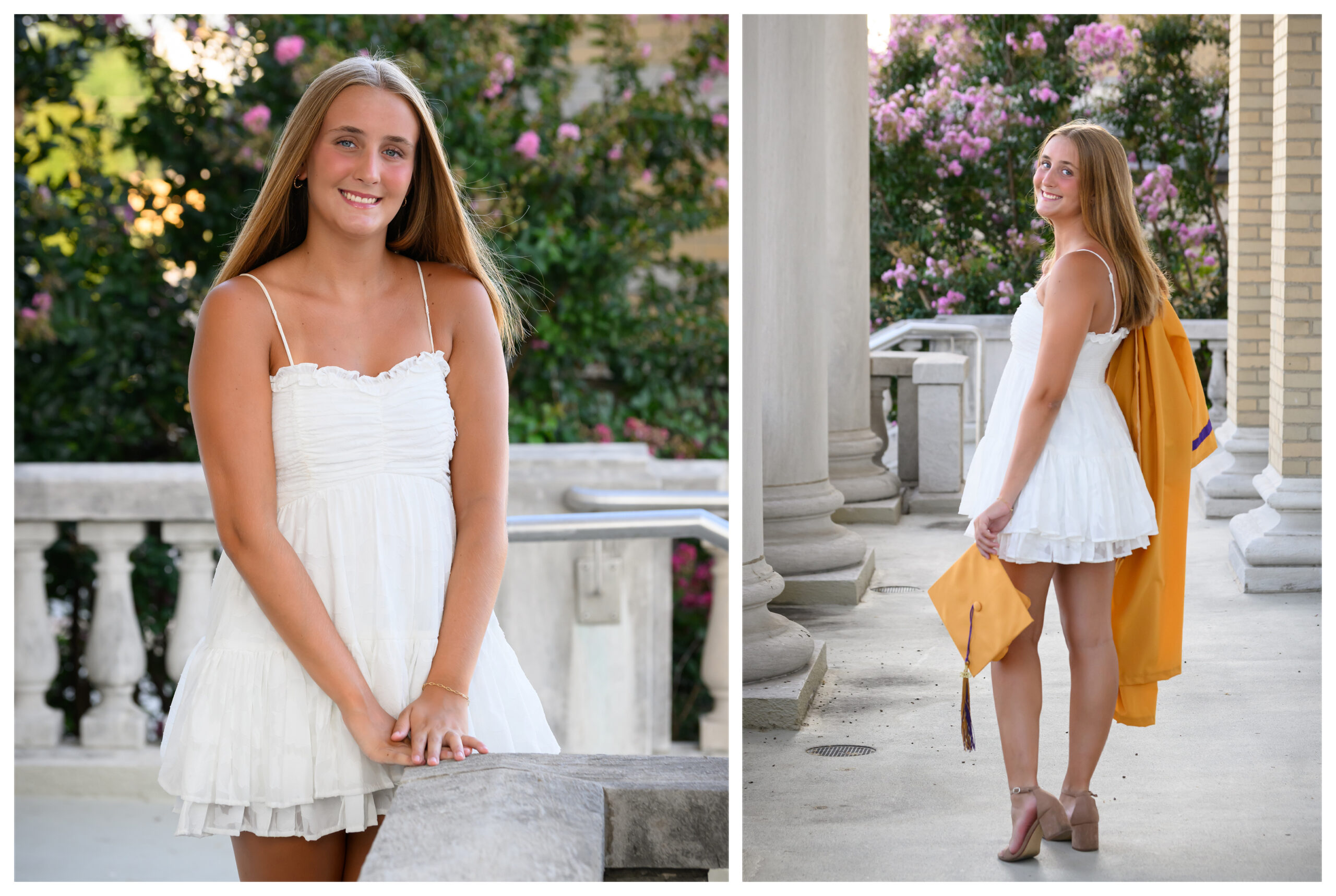 Home » Tom Carr Photography