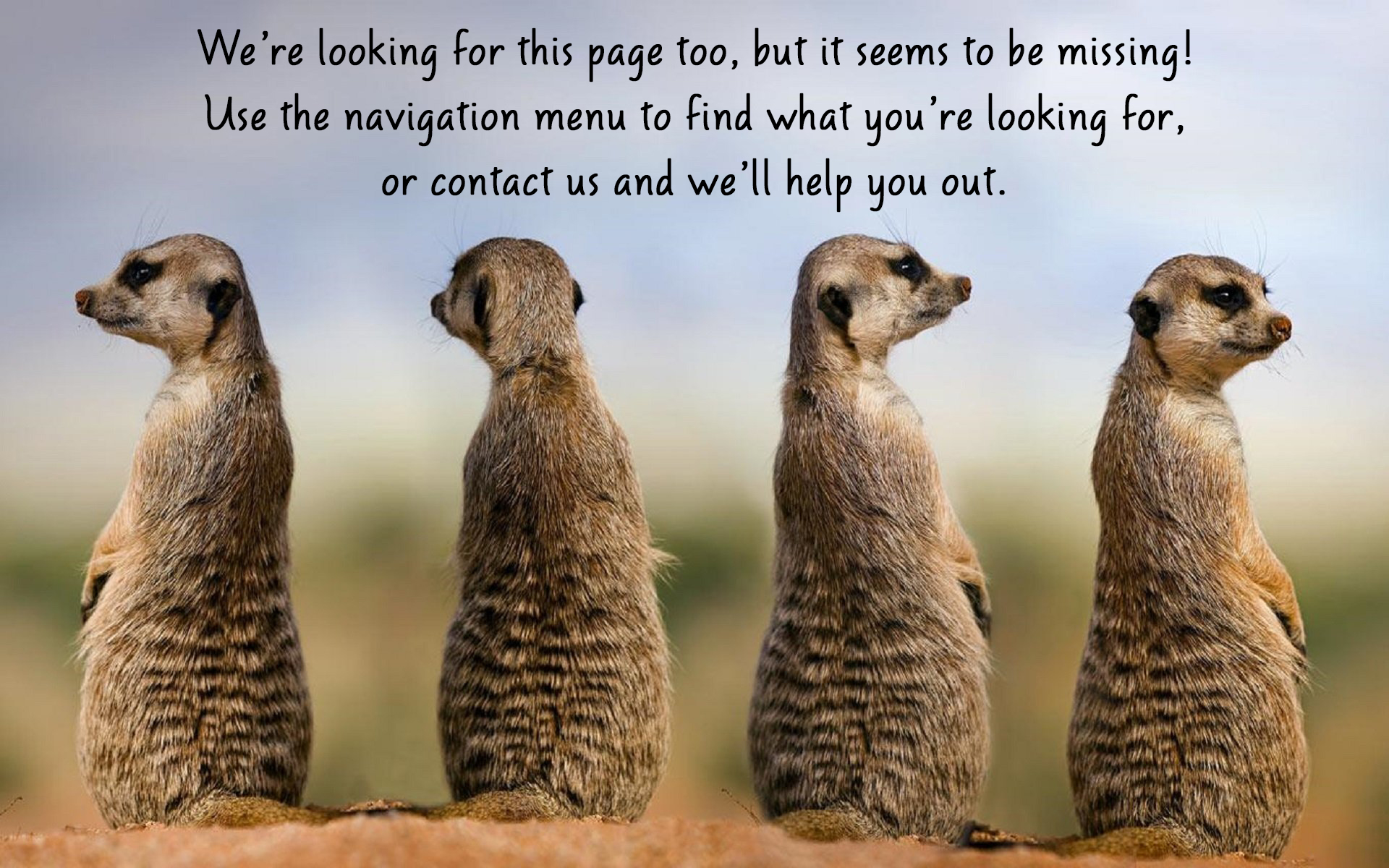 » Tom Carr Photography